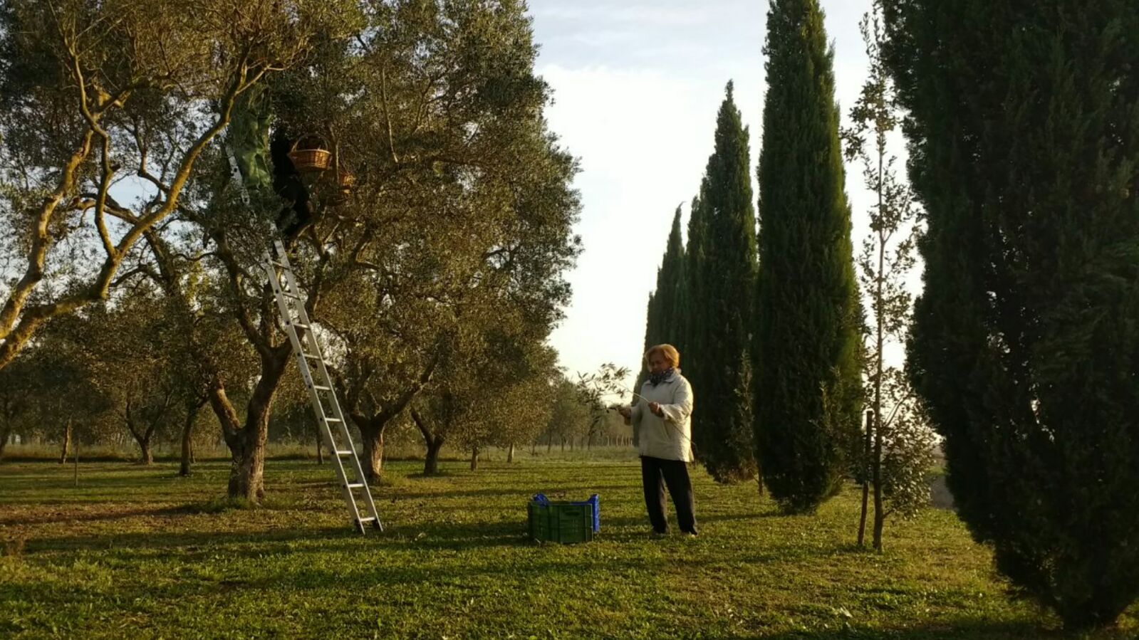 Oasi lagunare di Manfredonia, "Medaglia Extragold" all'olio ...