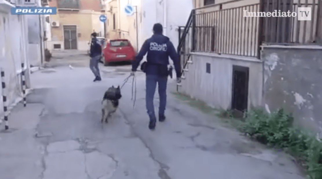 Droga dal Gargano alle coste adriatiche, in manette il "Nano Malefico ...